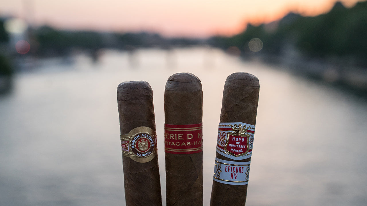 Robusto Cigars: An Aficionado's Favourite Format – EGM Cigars